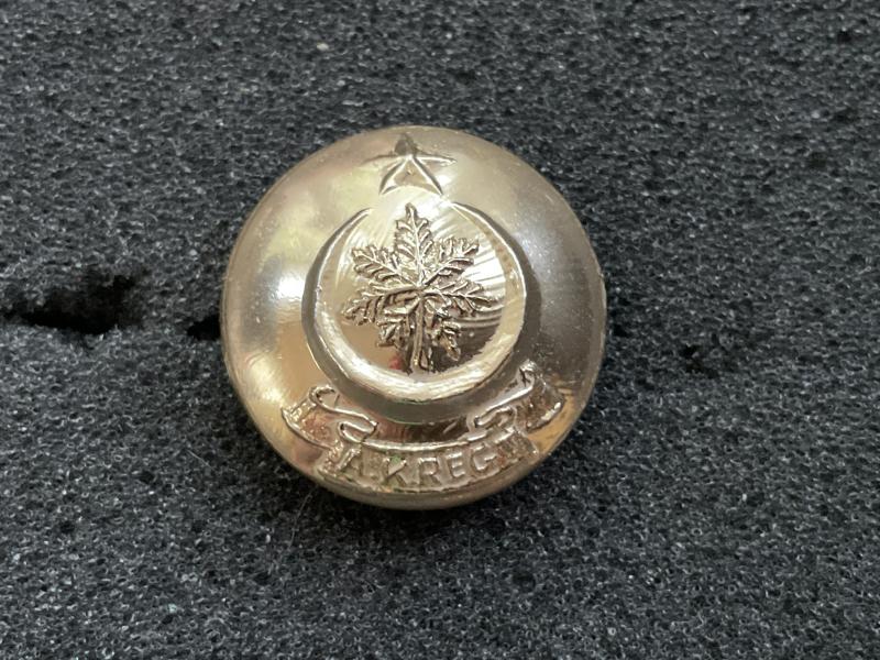 Pakistan Army Azad Kashmir Regiment button – Gradia Militaria